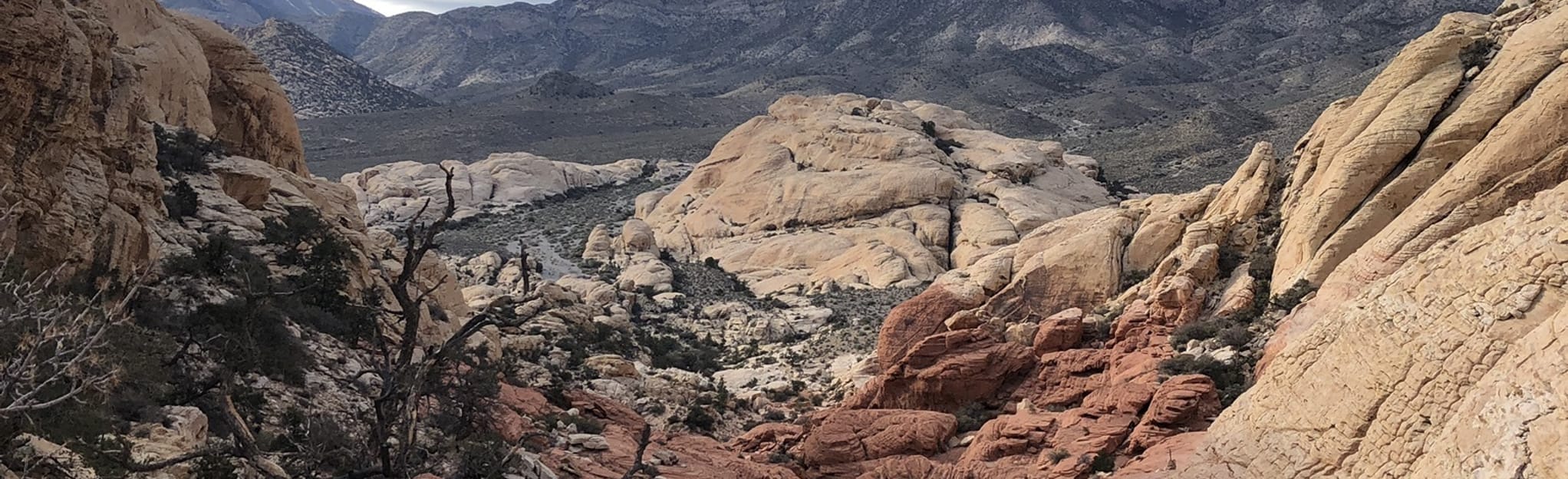 Calico Tanks Trail - Nevada | AllTrails