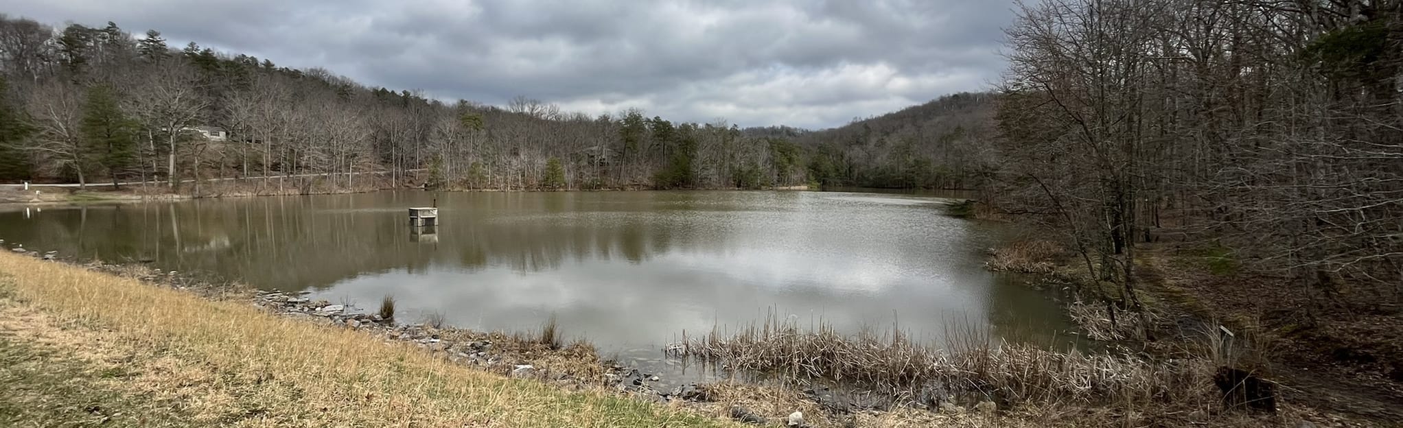 Maywoods Forest Ecosystem Trail: 13 Reviews, Map - Kentucky | AllTrails