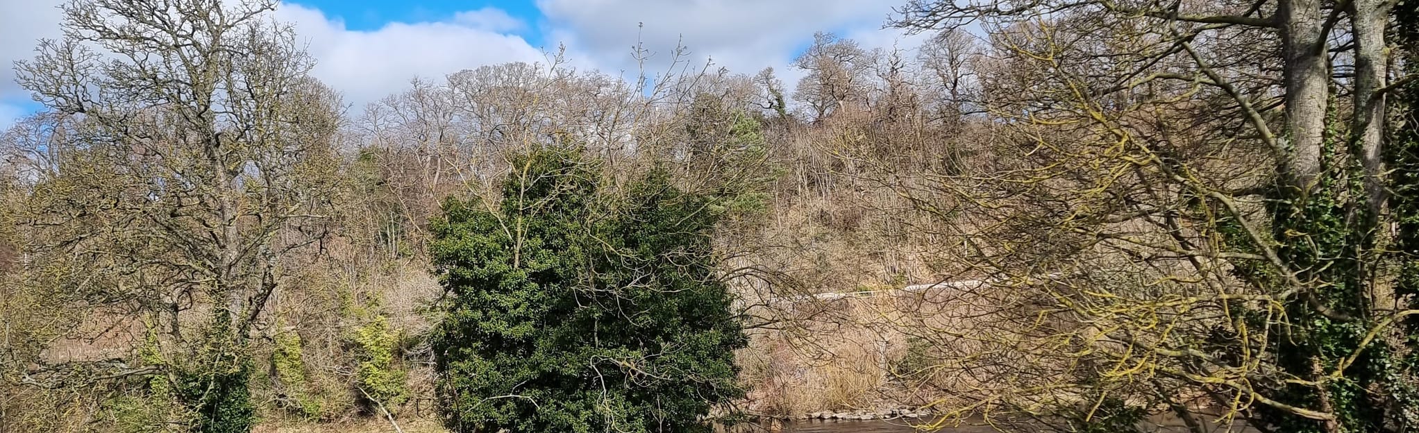 Prudhoe to Newburn: 22 Reviews, Map - Northumberland, England | AllTrails