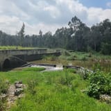 Modderfontein Dam Trail, Gauteng, South Africa - 306 Reviews, Map ...