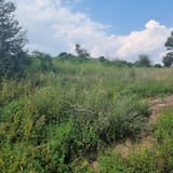 Modderfontein Dam Trail, Gauteng, South Africa - 306 Reviews, Map ...