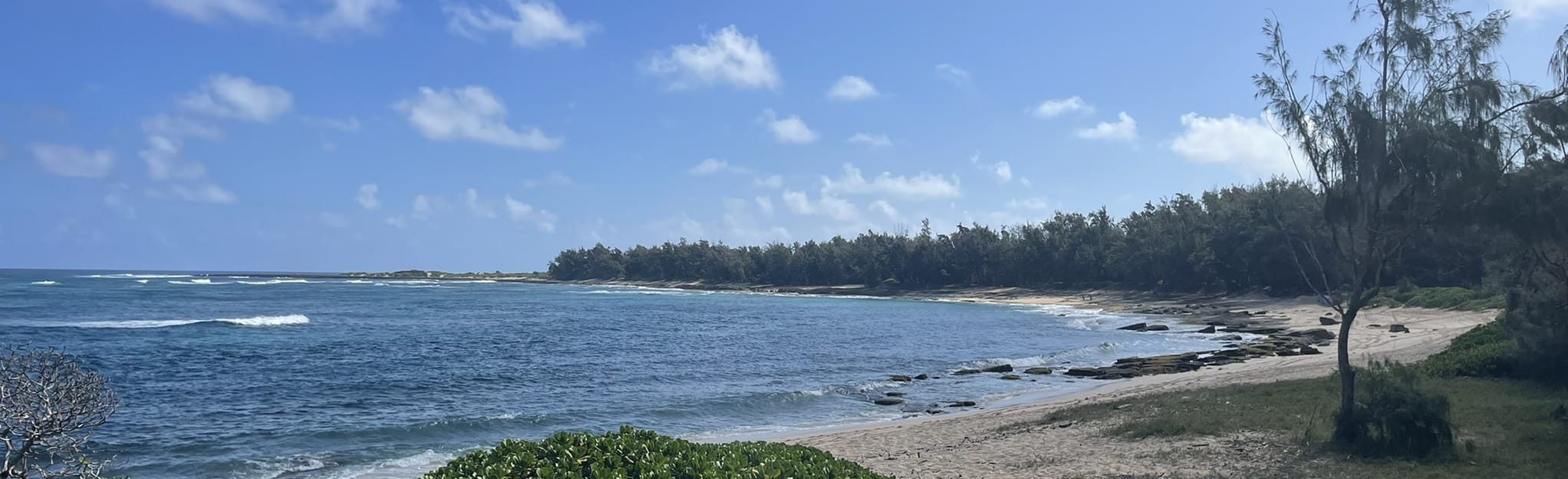 Turtle Bay and Kuilima Golf Course Trails, Oahu, Hawaii - 88 Reviews ...