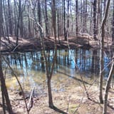 Horse Thief Spring and Ouachita Loop, Oklahoma - 188 Reviews, Map ...