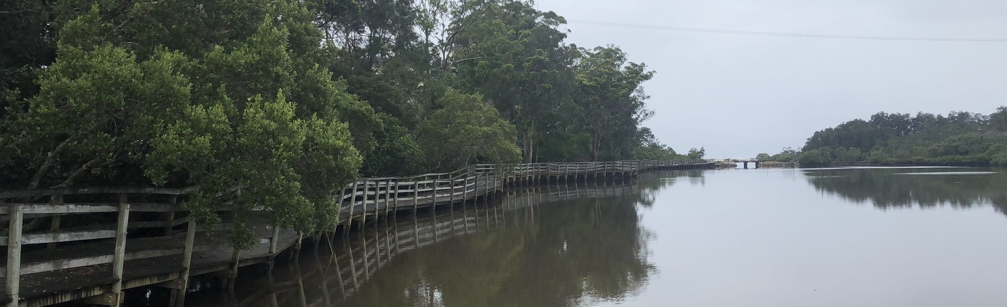 Nambucca Foreshore, New South Wales, Australia - 8 Reviews, Map | AllTrails