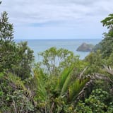 Karamatura Track, Puriri Ridge, and Omanawanui Track, Auckland, New ...