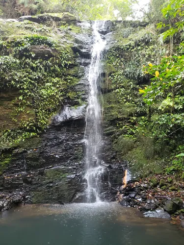 10 Best Waterfall Trails in Okinawa | AllTrails