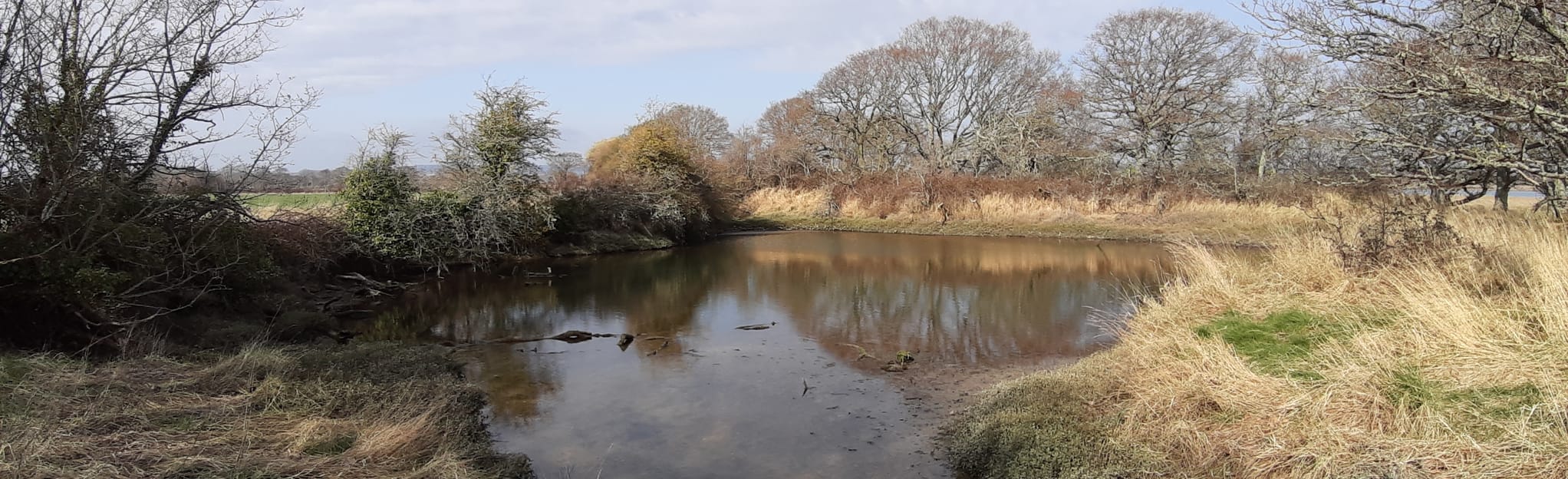 Fishbourne and Bosham Circular: 140 Reviews, Map - West Sussex, England ...