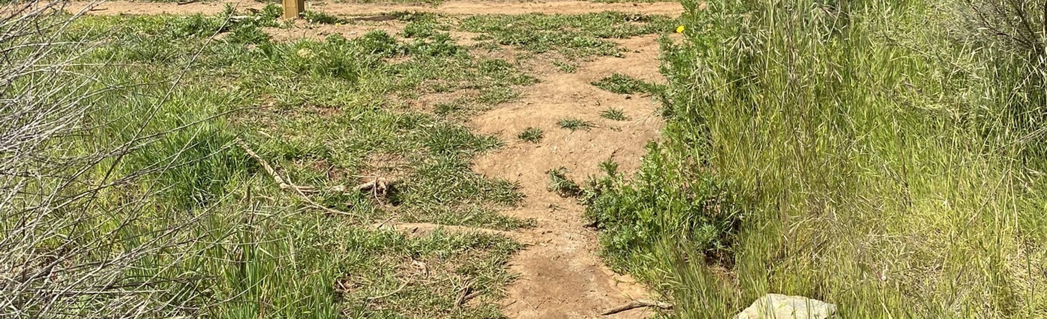 Questhaven to Elfin Forest Trail: 45 Reviews, 32 Photos, Map ...