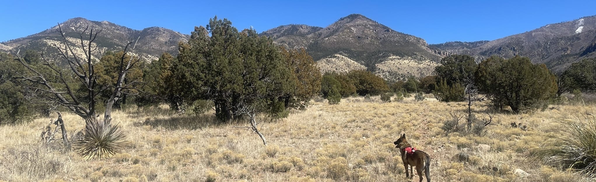 Little Whitewater Trail: 3 Reviews, Map - New Mexico | AllTrails