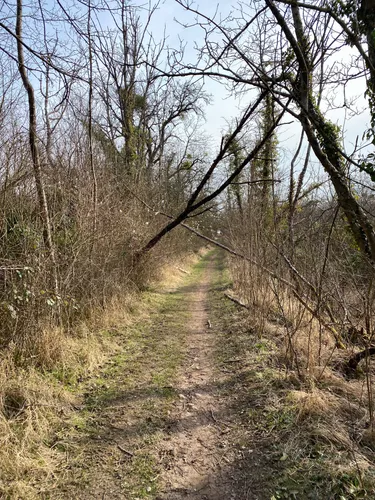 Best Hikes and Trails in Réserve Naturelle de Montenach | AllTrails