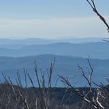 Lake Mountain and Keppel Hut Loop, Victoria, Australia - 76 Reviews ...