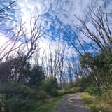 Lake Mountain and Keppel Hut Loop, Victoria, Australia - 76 Reviews ...