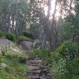 Lake Mountain and Keppel Hut Loop, Victoria, Australia - 76 Reviews ...