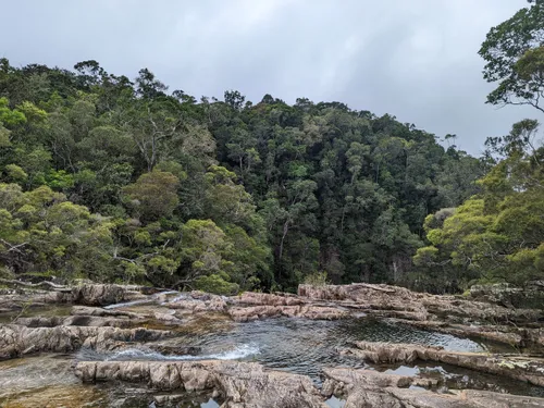 10 Best Hikes and Trails in Paluma Range National Park | AllTrails
