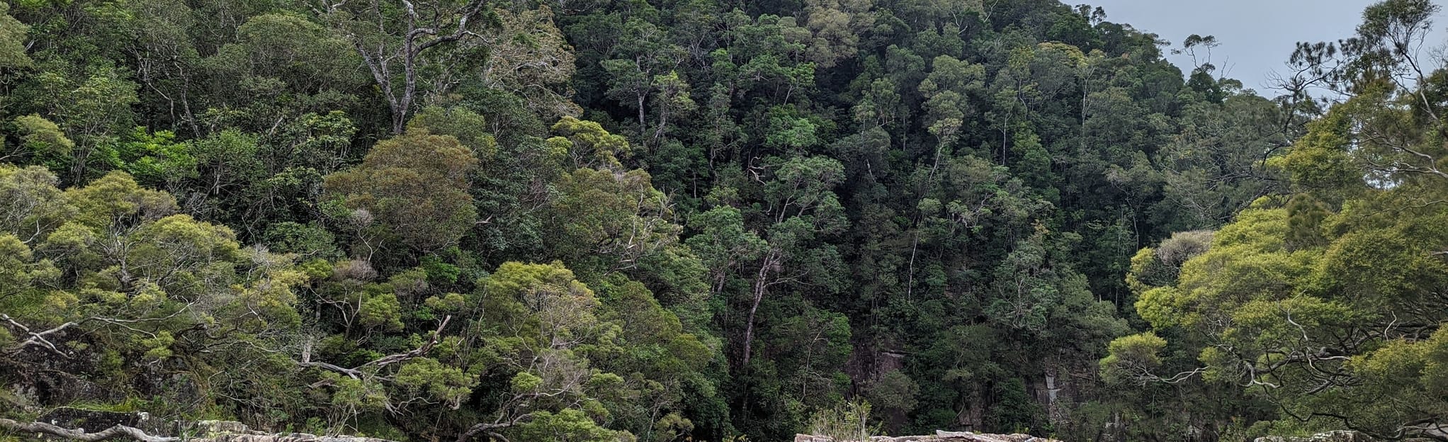 Paluma Dam to Crystal Falls: 37 Reviews, Map - Queensland, Australia ...