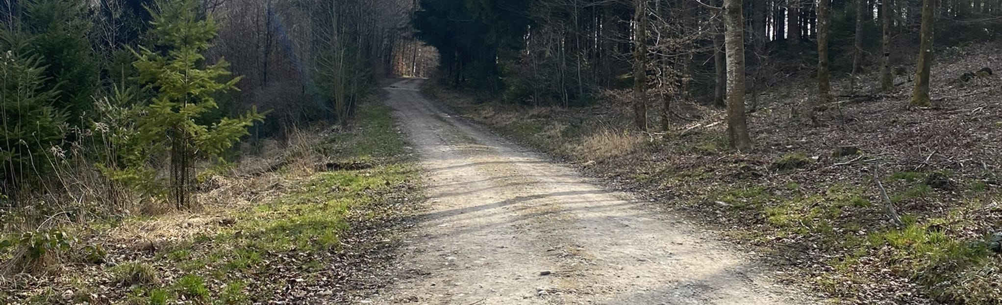 Ruine Klosterhubel - Reibewald via Safern, Bern, Switzerland - 3 ...