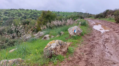 10 Best Hikes and Trails in Valley of Elah National Park | AllTrails