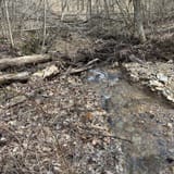 Shawnee State Park North Loop, Ohio - 175 Reviews, Map | AllTrails