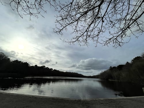 2023 Best Walking Trails in Sutton Park | AllTrails