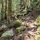 Mount Jerai via Merbok Trail, Kedah, Malaysia - 18 Reviews, Map | AllTrails