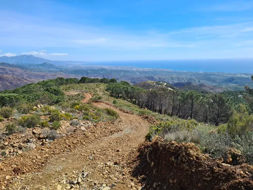 10 Best Trails and Hikes in Estepona | AllTrails
