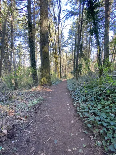 10 Best Trails and Hikes in Salem | AllTrails