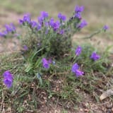 Narrabundah Hill, Australian Capital Territory, Australia - 150 Reviews ...