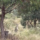 Narrabundah Hill, Australian Capital Territory, Australia - 150 Reviews ...