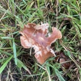 Narrabundah Hill, Australian Capital Territory, Australia - 150 Reviews ...