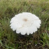 Narrabundah Hill, Australian Capital Territory, Australia - 150 Reviews ...