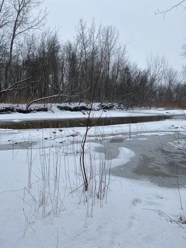 2023 Best River Trails in Delson | AllTrails