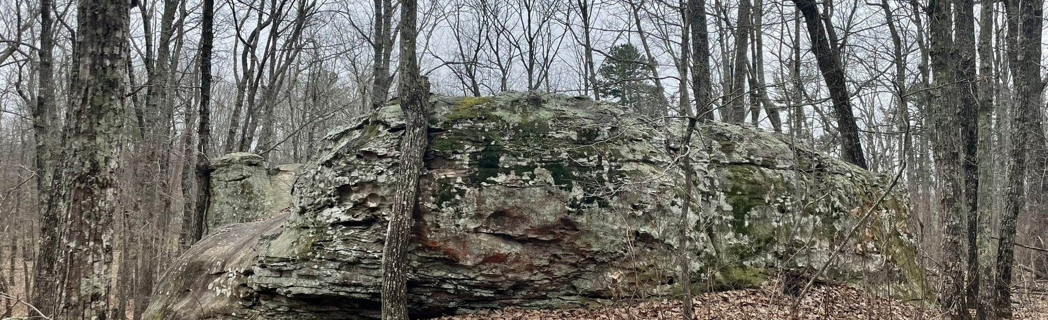 Pigeon Mountain via Rocktown Trail, Georgia - 165 Reviews, Map | AllTrails