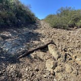 Prefumo Canyon Vista Point Trail, California - 231 Reviews, Map | AllTrails