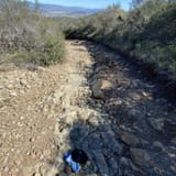 Prefumo Canyon Vista Point Trail, California - 231 Reviews, Map | AllTrails