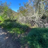 Prefumo Canyon Vista Point Trail, California - 231 Reviews, Map | AllTrails