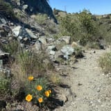 Prefumo Canyon Vista Point Trail, California - 234 Reviews, Map | AllTrails