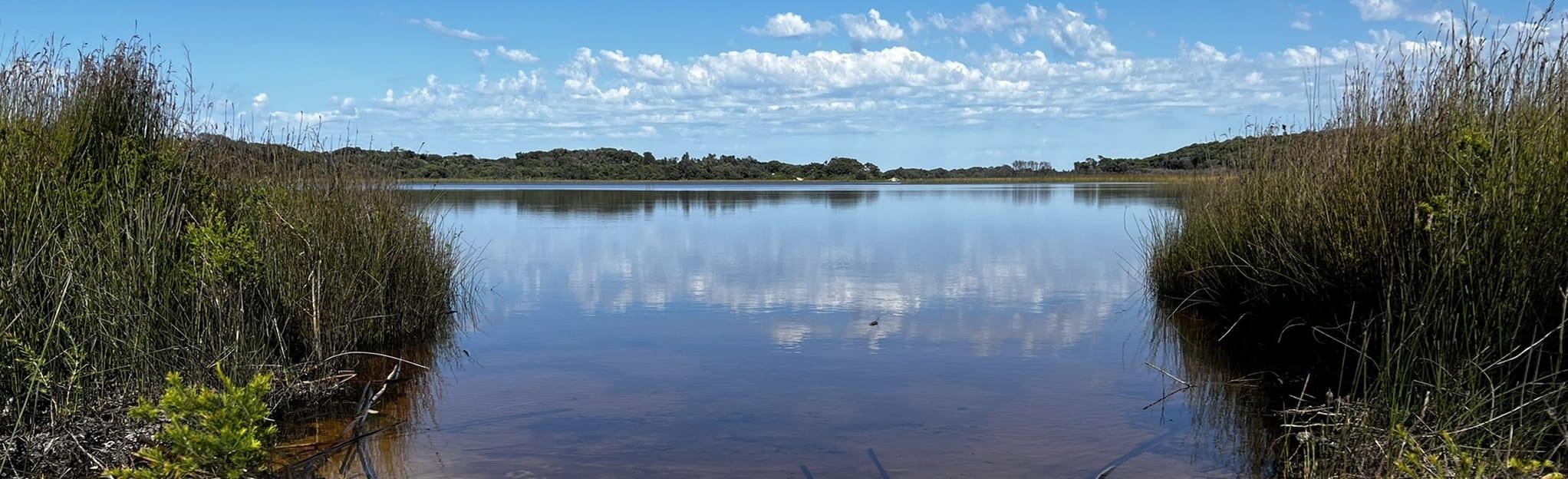 Dock Inlet Lookout via Pearl Point Track, Victoria, Australia - 3 ...