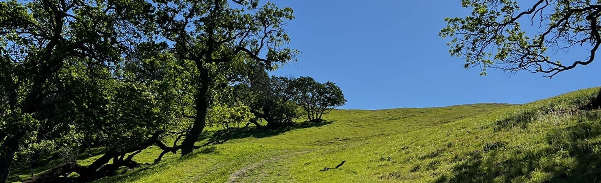 Stage, Briones to Mt Diablo, and Fairy Lantern Loop, California - 663 ...