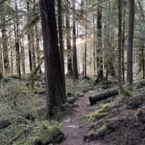 Irely Lake Trail, Washington - 125 Reviews, Map | AllTrails