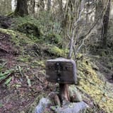Irely Lake Trail, Washington - 125 Reviews, Map | AllTrails