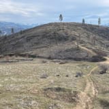 Hay Canyon Trail, Washington - 58 Reviews, Map | AllTrails