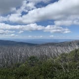 Lake Mountain and Keppel Hut Loop, Victoria, Australia - 76 Reviews ...