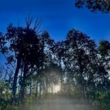 Lake Mountain and Keppel Hut Loop, Victoria, Australia - 76 Reviews ...