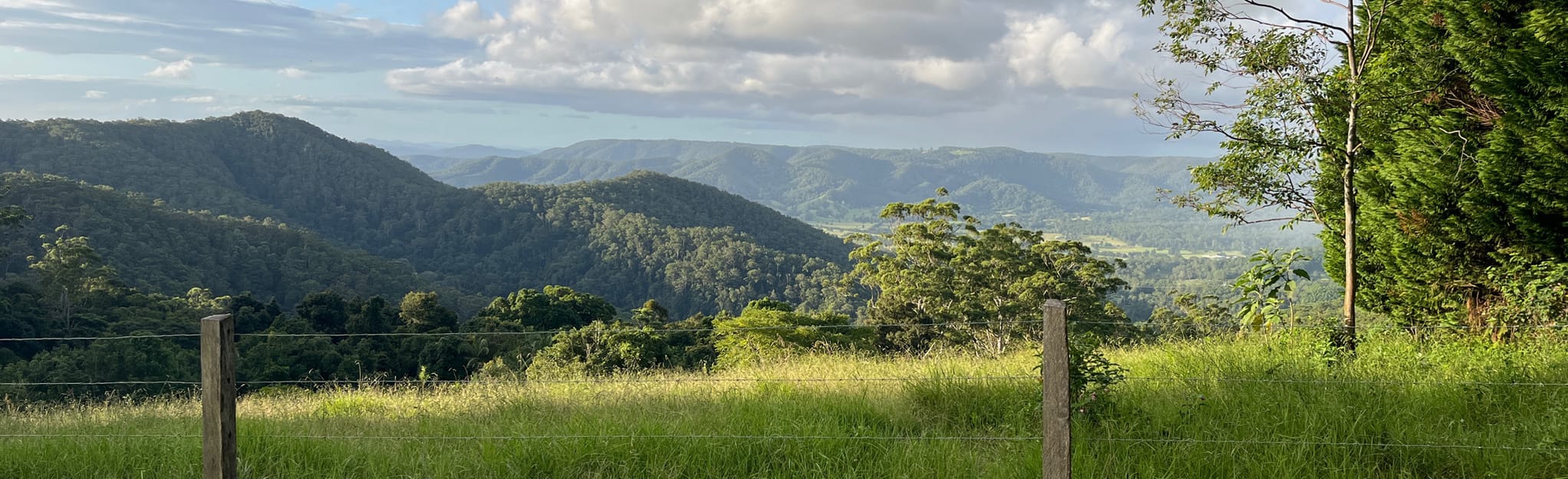 Witta Scenic Route, Queensland, Australia - 17 Reviews, Map | AllTrails