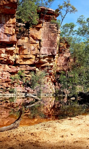 Best Hikes and Trails in Umbrawarra Gorge Nature Park | AllTrails