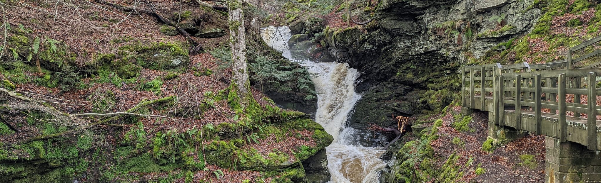 Falls of Acharn, Perth and Kinross, Scotland - 61 Reviews, Map | AllTrails