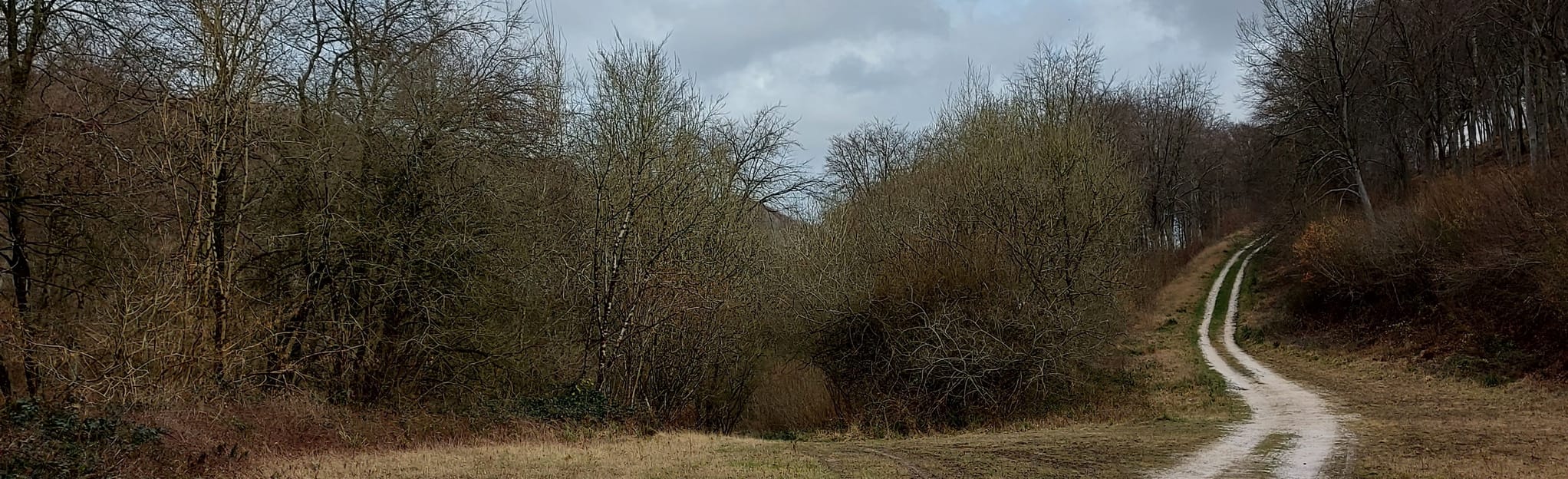 Durweston Circular, Dorset, England - 9 Reviews, Map | AllTrails