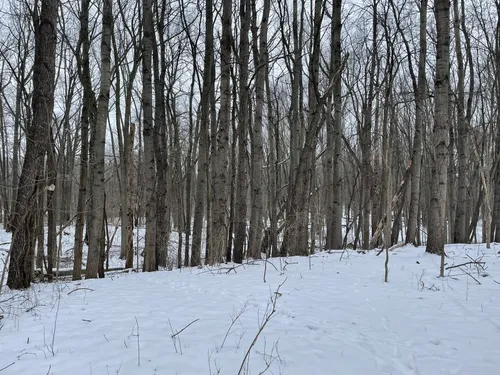 Best Hikes and Trails in Rose Lake State Wildlife Area | AllTrails