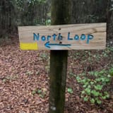 Richloam Wildlife Management Area, Florida - 61 Reviews, Map | AllTrails