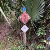 Richloam Wildlife Management Area, Florida - 61 Reviews, Map | AllTrails